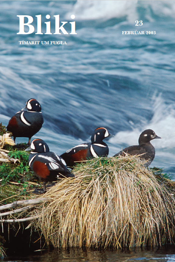 Bliki 23, 2003 - Wildlife.is