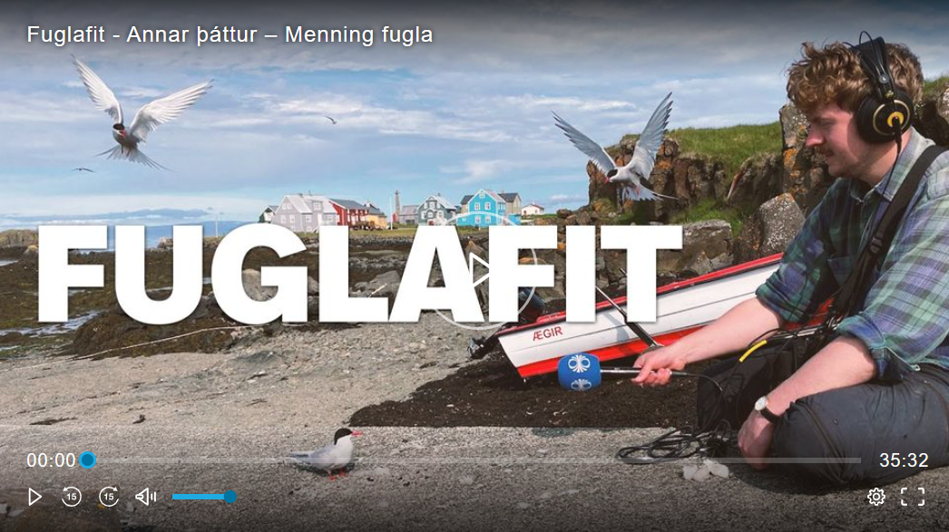 Fuglafit – Annar þáttur – Menning fugla - Wildlife.is